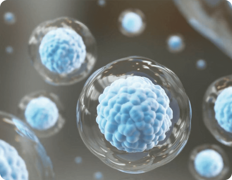 StemActive – Healthy Home